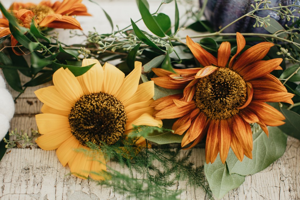 Sheba Acres – Baroda, MI